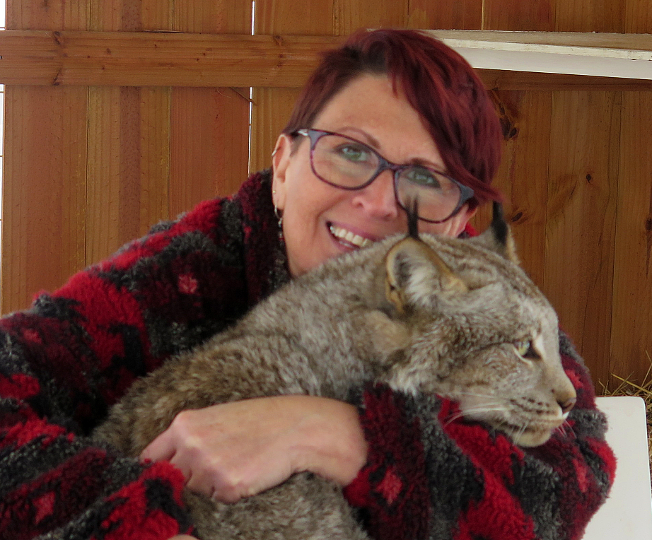 About – Max Canada Lynx